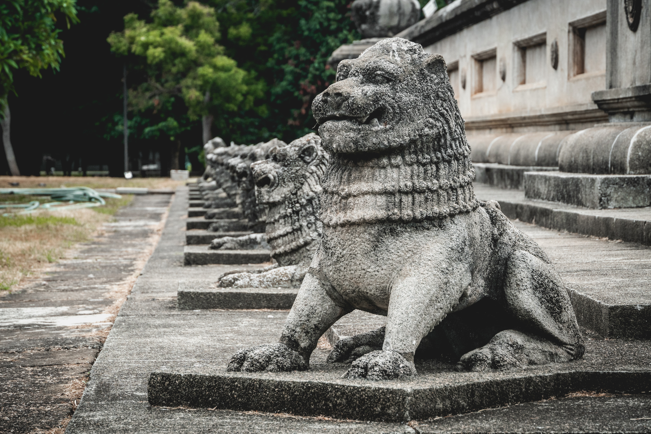 Post-Aragalaya Shifts in the Politics of the Buddhist Sangha - Muragala ...